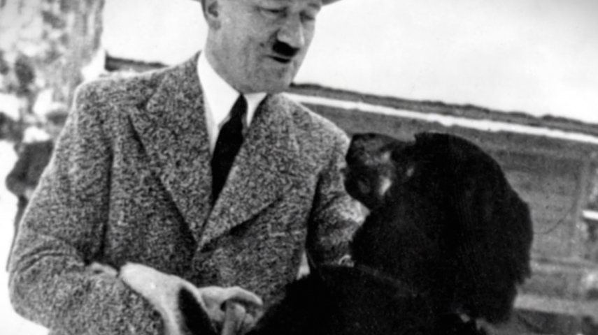 Nazi Creatures | PBS America | UK